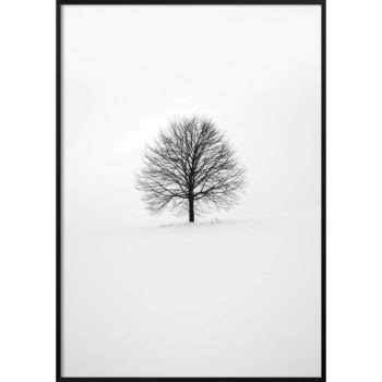 Plakat Palmy Czarno biały TOWAR autorskie plakaty na ścianę