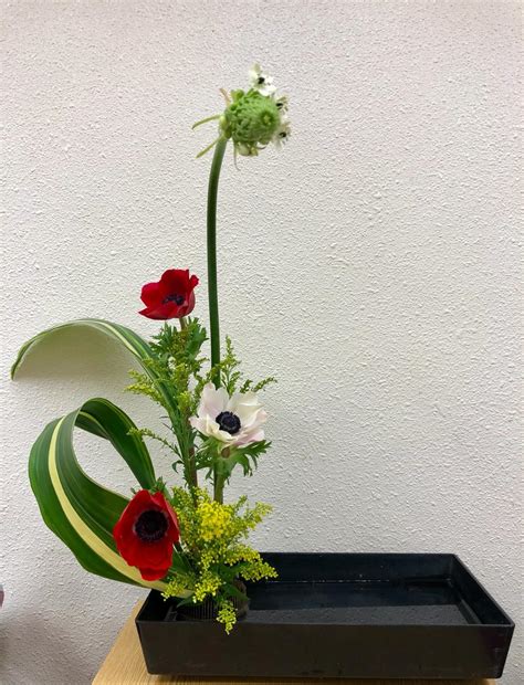 十年前學習花藝，最初是學日本花道，當時我覺得日式的花藝簡約、線條很美，一學就著了迷。 而且課堂上用了很多木枝及葉材是我重未見過的🤩，沒想到插花