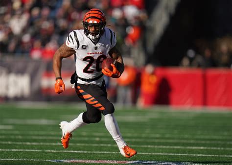 Joe Mixon And Samaje Perine Fantasy Playoffs Strategy What Is The