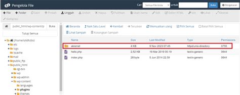 menonaktifkan disable plugin wordpress melalui cpanel idcloudhost