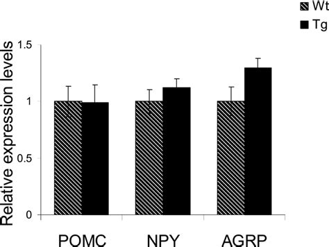 Hypothalamic Neuropeptide Mrnas In Mch Ataxin 3 Mice Expression Levels