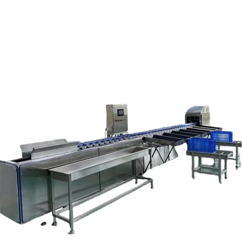 Stainless Steel Commercial Fruit Sorting Machine Fruit And Vegetable Sorting Machine Vegetable