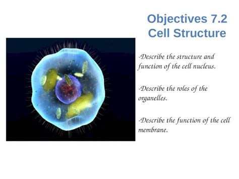Pptx Objectives 72 Cell Structure Describe The Structure And