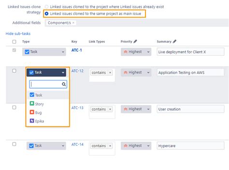 Cloning Process Jira Apps From Vilisoft