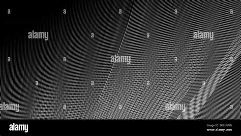 Design Elements Wave Of Many White Lines Abstract Wavy Stripes On