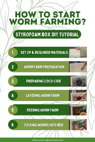 How To Start Worm Farming Styrofoam Box Diy Tutorial