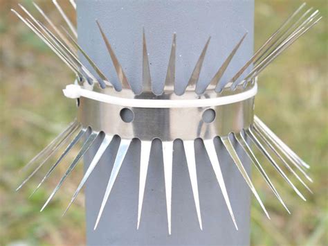Heres A Step By Step Tutorial On How To Install Bird Spikes