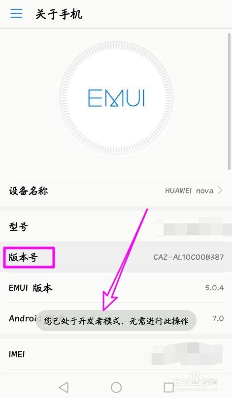 华为手机开发者选项在哪里 适会说