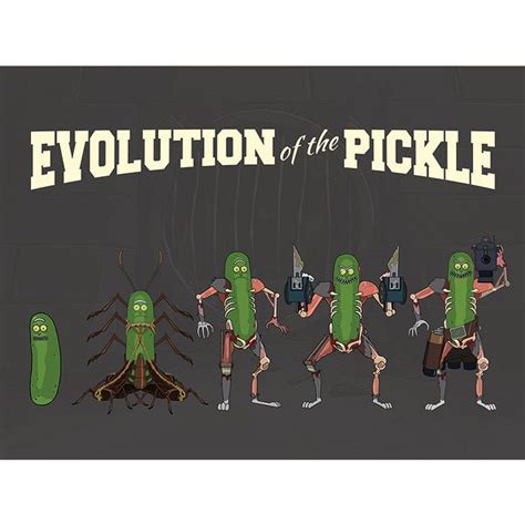 Rick And Morty Evolution Of The Pickle Ready Framed Canvas Iposters Posters Homedecor