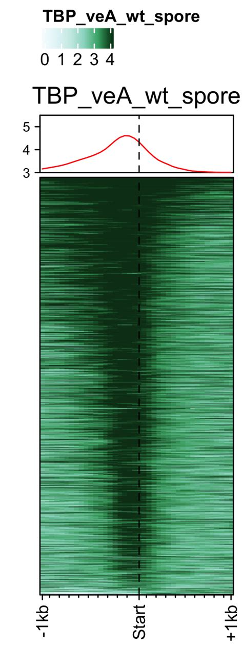 Fungal Spore Data Analysis • Fungalsporeanalysis