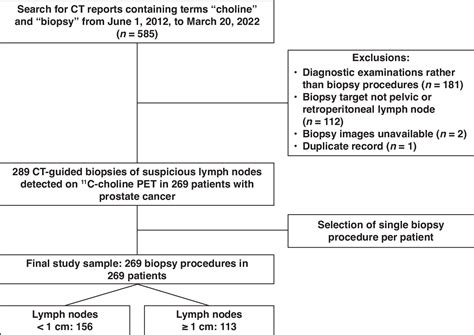 Safety And Efficacy Of Ct Guided Percutaneous Biopsy Of Suspicious Subcentimeter Pelvic And