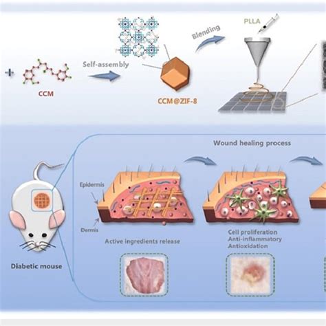 Fabricated Porous Patterned Plla Composite Electrospun Scaffolds