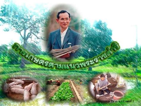 โครงการเกษตรทฤษฎีใหม่