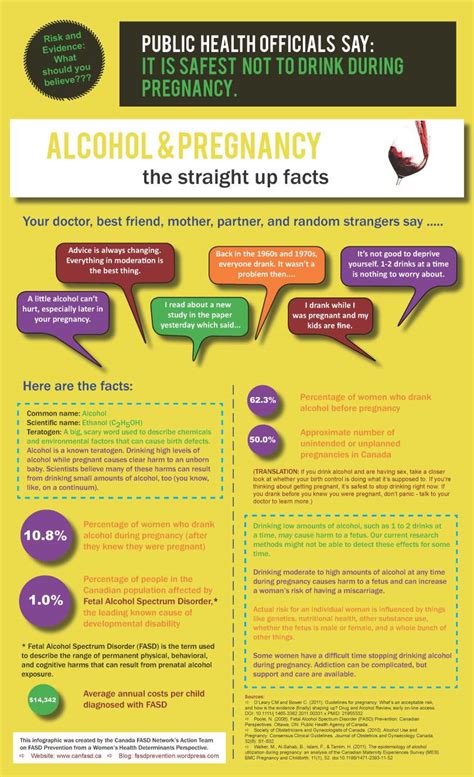 Alcohol And Pregnancy Infographic Girls Women Alcohol And Pregnancy