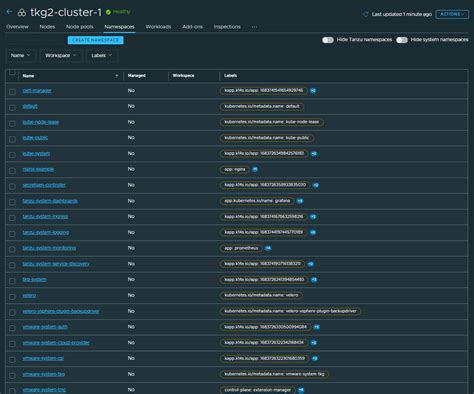 Managing A Vsphere 8 With Tanzu Workload Cluster In Tanzu Mission
