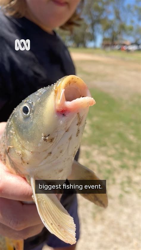 Holy Carp Sas Biggest Fishing Event Fishing This Is How We Deal