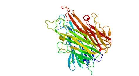 Increased Number Of Necrosectomies During Endoscopic Management Of