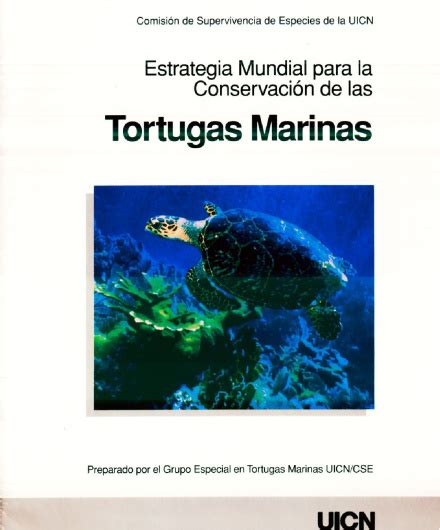 Estrategia Mundial Para La Conservación De Las Tortugas Marinas Save The Blue Five