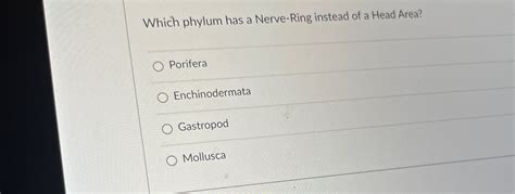 Solved Which Phylum Has A Nerve Ring Instead Of A Head