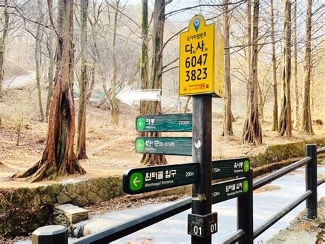 청계산 등산코스 등린이 가능 원터골 매봉 최단코스 시간 지도 네이버 블로그