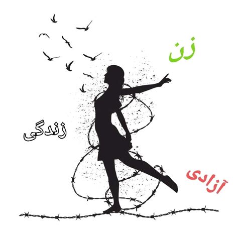 Naser Tabrizi On Linkedin مهساامینی