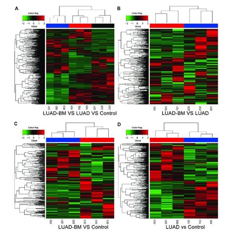 hierarchical clustering analysis of differentially expressed circrnas
