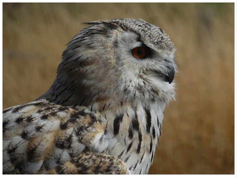 7 Fun Things To Do At Stonham Barns Suffolk Essex Explored
