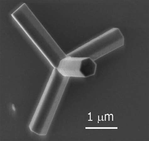 Sem Image Of A Zno Tetrapod Download Scientific Diagram