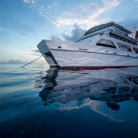 Great Barrier Reef Liveaboards