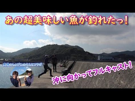 投げ釣りしたらあの美味しい魚が釣れたっ