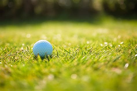 햇빛 아래 골프장에 있는 공 잘 관리된 골프장 그린과 순백의 골프공 고화질 사진 사진 하늘 배경 일러스트 및 사진 무료 다운로드 Pngtree