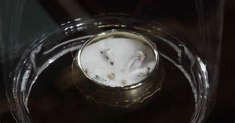 지관스님 사리 공개