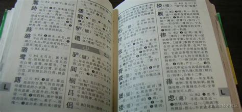从零开始学python第13课：常用数据结构之字典python字典项目课 Csdn博客