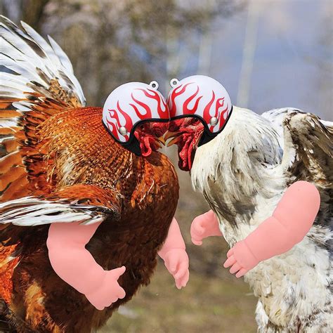 Buy Gejoy Pieces Chicken Toys Include Chicken Doll Arms And Chicken Helmet Pet Safety Helmet