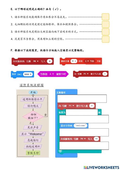2021校内课堂评估 （pbd） 五年级设计与工艺 Online Exercise For Live Worksheets