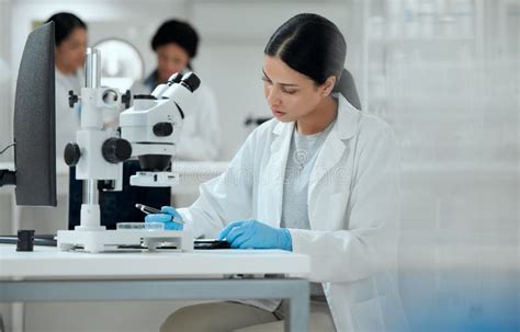Scientist Study And Woman With Microscope In Lab For Medical