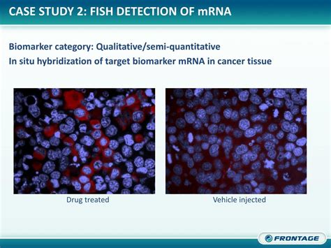 Ppt Biomarker Development And Validation Practices And Experiences