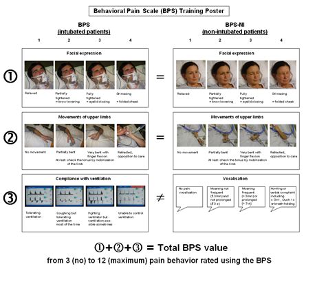 Sinaune Perawat Behavioral Pain Scale Bps