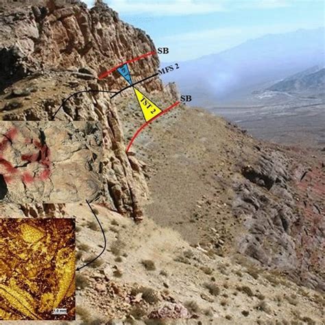 Field Photograph Of Maximum Flooding Surface Mfs Tst And Hst Systems