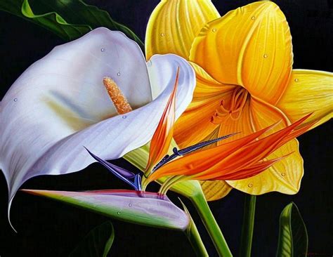 El Arte Es Su Máxima Expresión Imágenes Cuadros Realistas De Flores