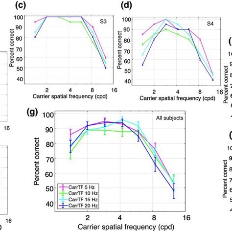 Example Contrast Modulation Cm Stimulus The Stimulus Presented