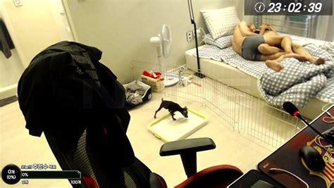 Watch Korean Koran Sex Korean Girl Asian Porn Spankbang