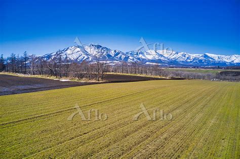 春の十勝平野 北海道 131051265 の写真素材 アフロ