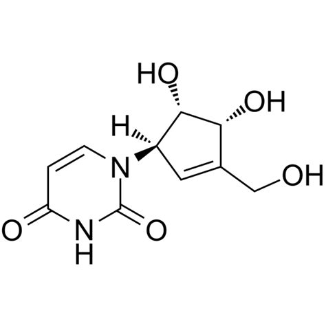 Uracil Structure What Are The Bases Of Dna Nucleotides Part 2 Of