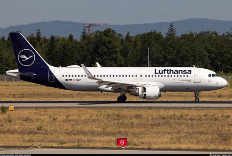 D AIZP Lufthansa Airbus A WL Photo By John Robert Murdoch ID Planespotters Net