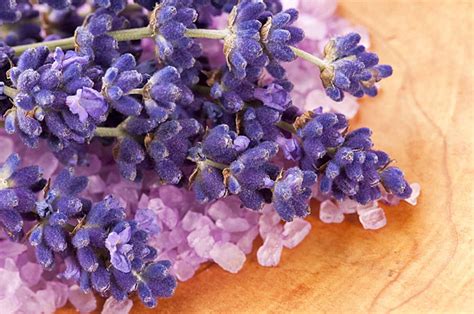 Revit Background Images Hd Pictures And Wallpaper For Free Download