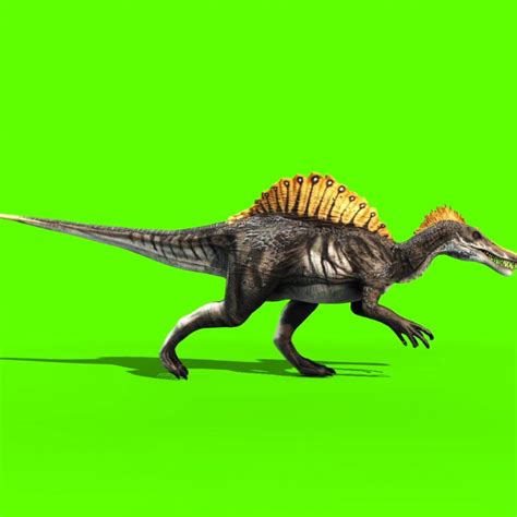 Dinosaur Spinosaurus 3d Model Animated Pixelboom