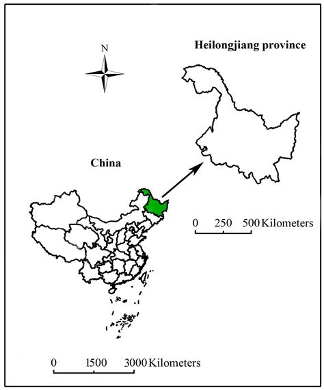 Relationship Between Net Primary Productivity And Forest Stand Age Under Different Site