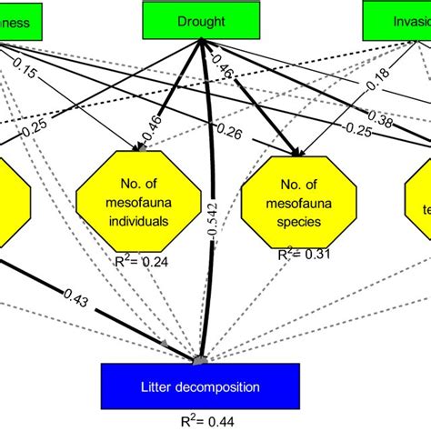 A Structural Equation Model Sem Showing The Causal Effects Of