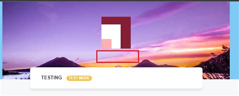 How To Customize The Paypage Hosted Payment Page Ui Clickpay